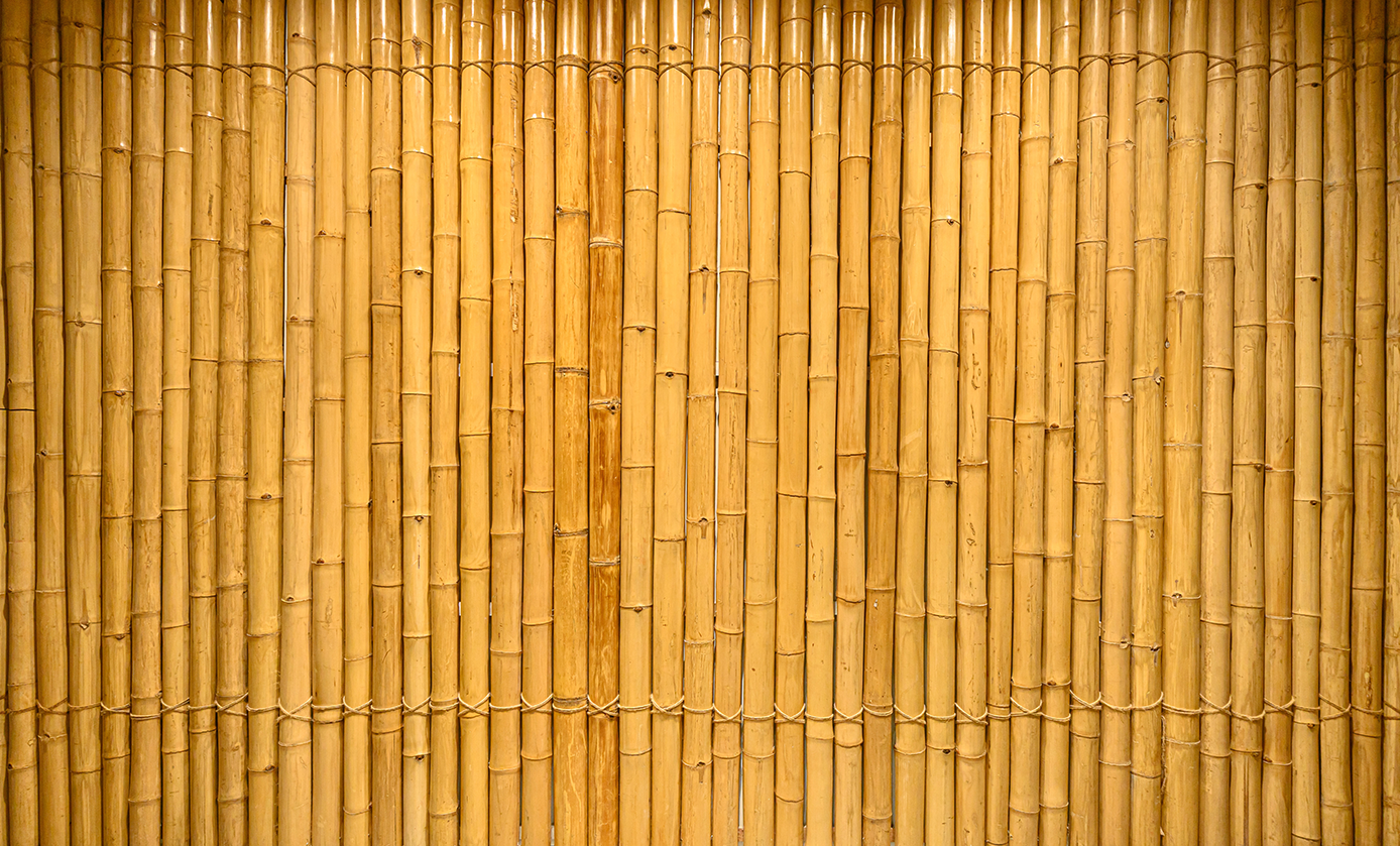 Bamboo - Airtex Mania
